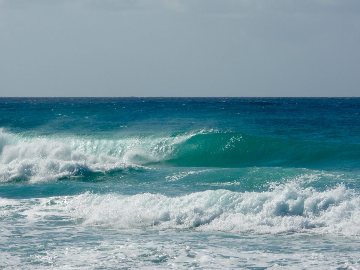 Best Surf Spots in Barbados | Mystic Gypsy Surf's Local Guide